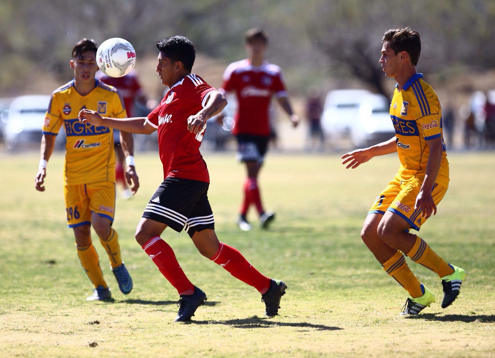 Xoloitzcuintles Sub20 se adelanta en los Cuartos de Final – Campestre
