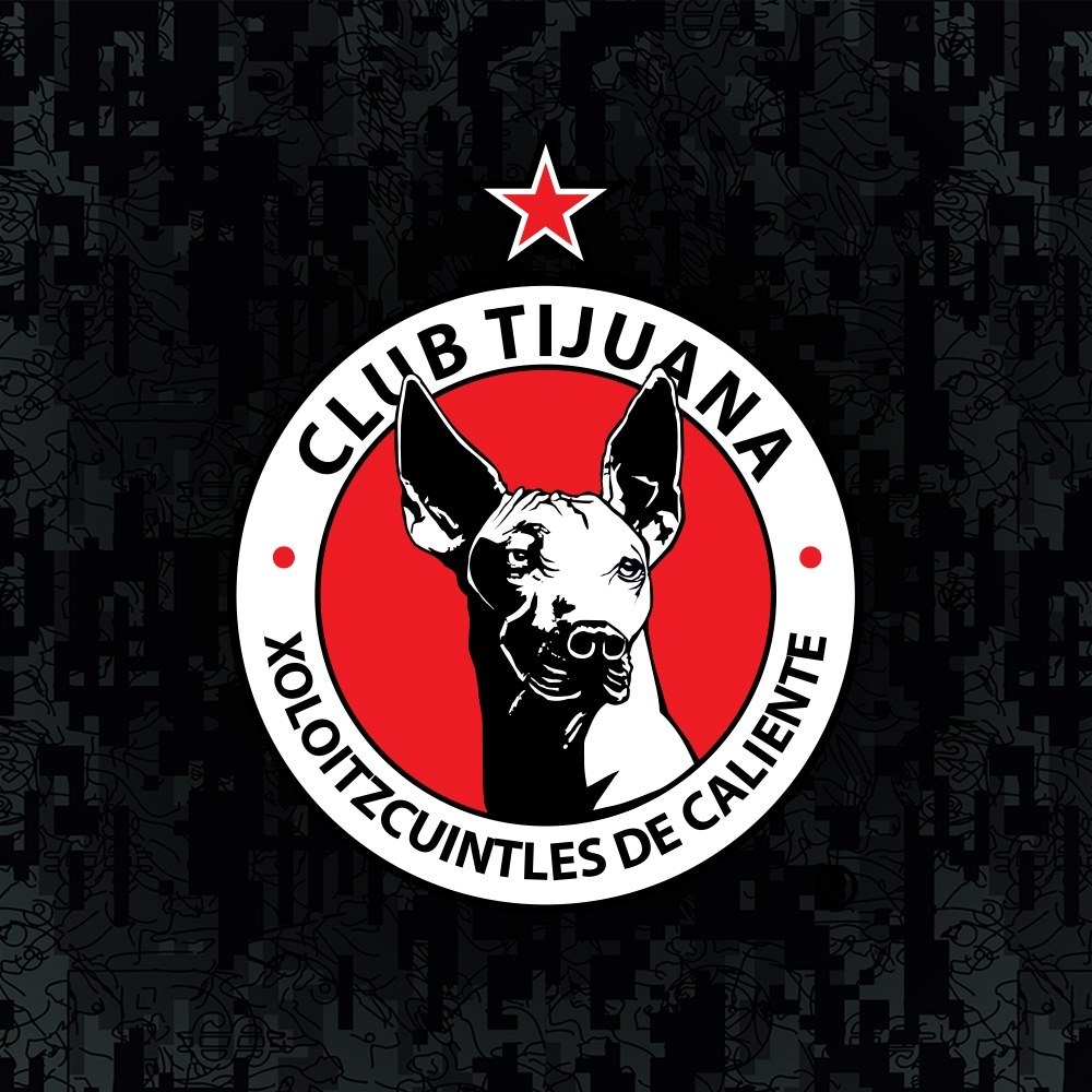 El “Hermoso”, el perro que inspiró el nacimiento de los Xoloitzcuintles ...
